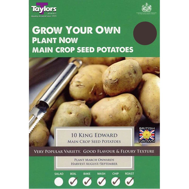 Taylors Bulbs - King Edward - Main Crop Seed Potatoes (10 pack) – Acres ...